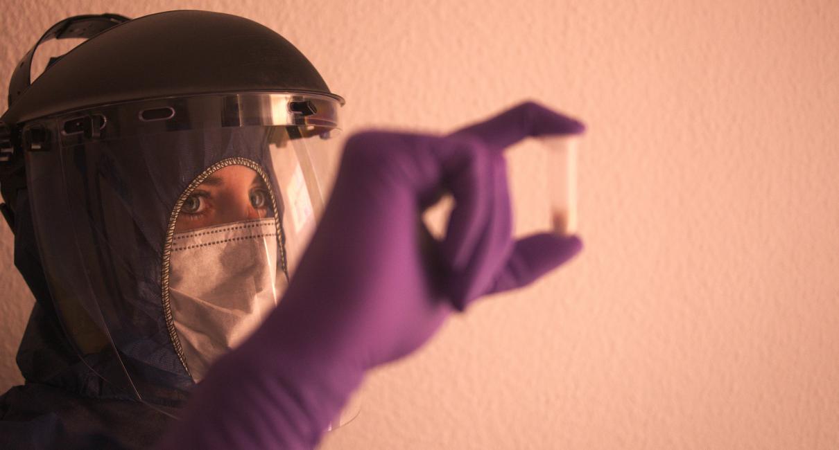 Ancient DNA laboratory | Dan David Center for Human Evolution and ...